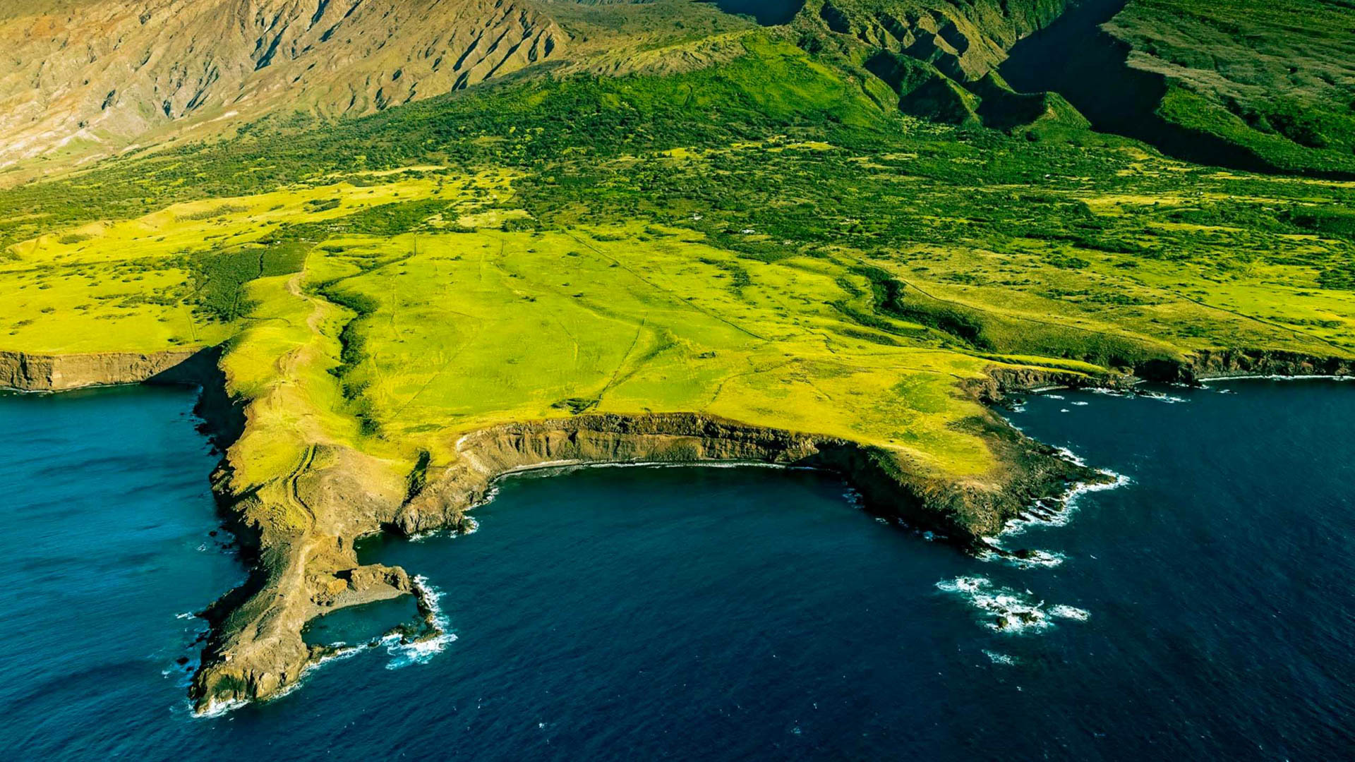 West Maui and Moloka'i Helicopter Tour | Maui Helicopter Tours